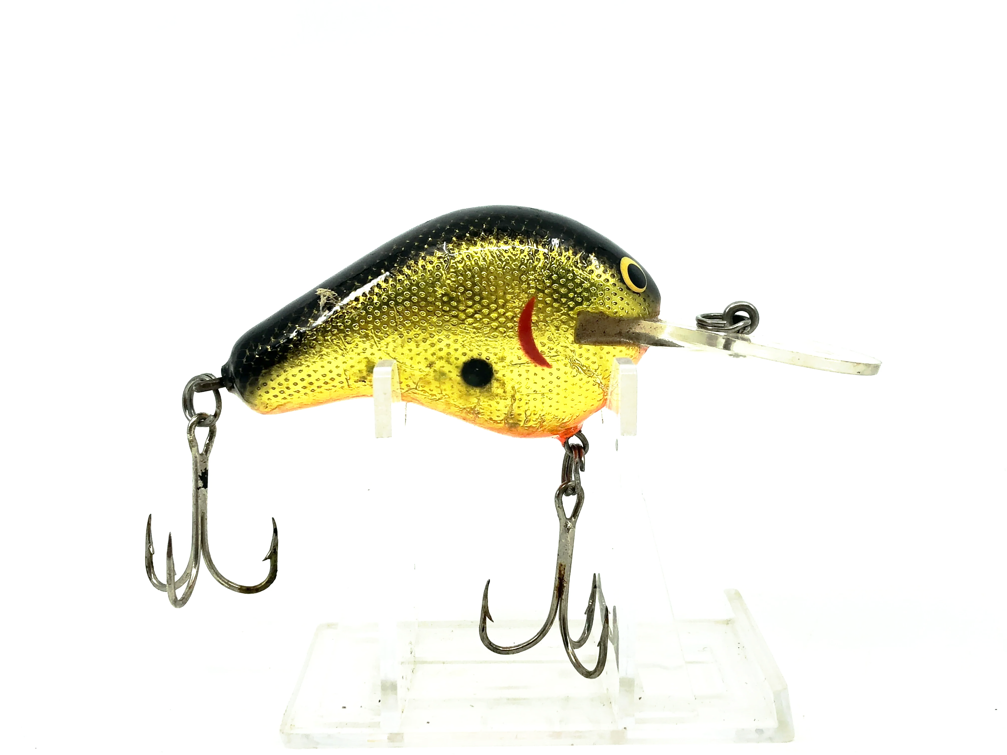 Bagley Diving B2 DB2-SBG, BGOB Black on Gold Foil/Orange Belly Color – My Bait Shop, LLC