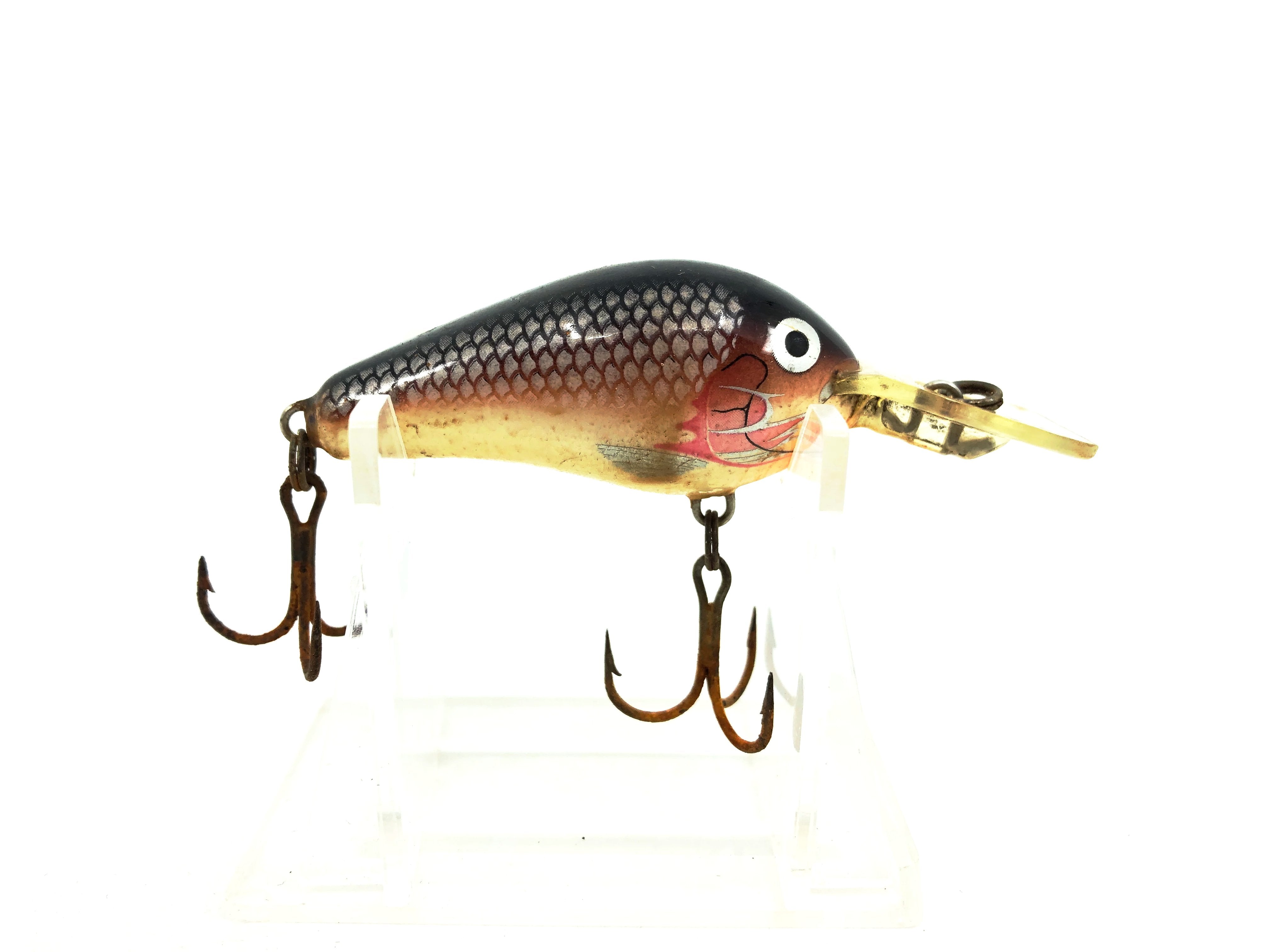 Rapala Fat Rap FR-5, PSD Plum Shad Color – My Bait Shop, LLC
