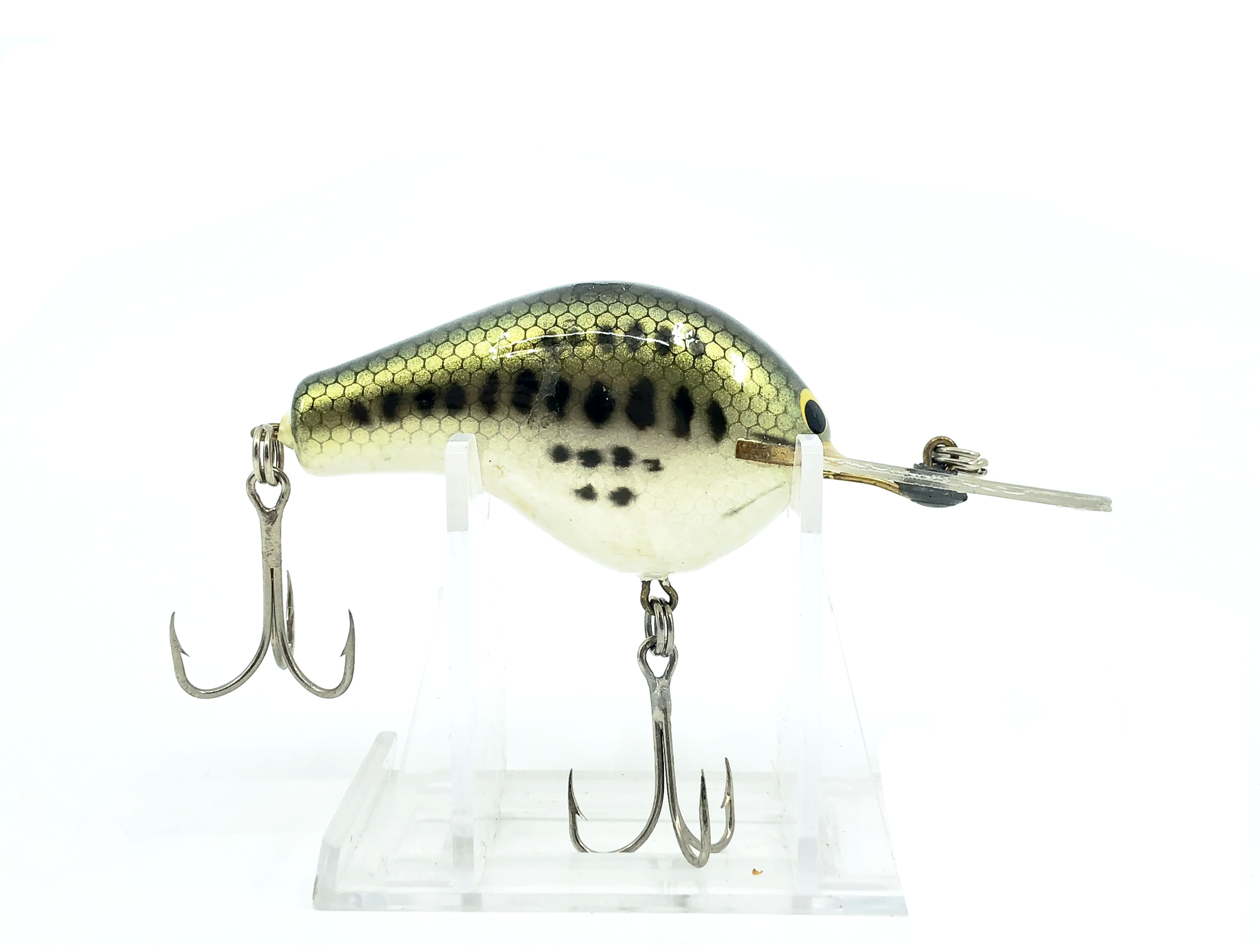 Bagley Diving B2 DB2-LB4, Little Bass on White Color – My Bait Shop, LLC