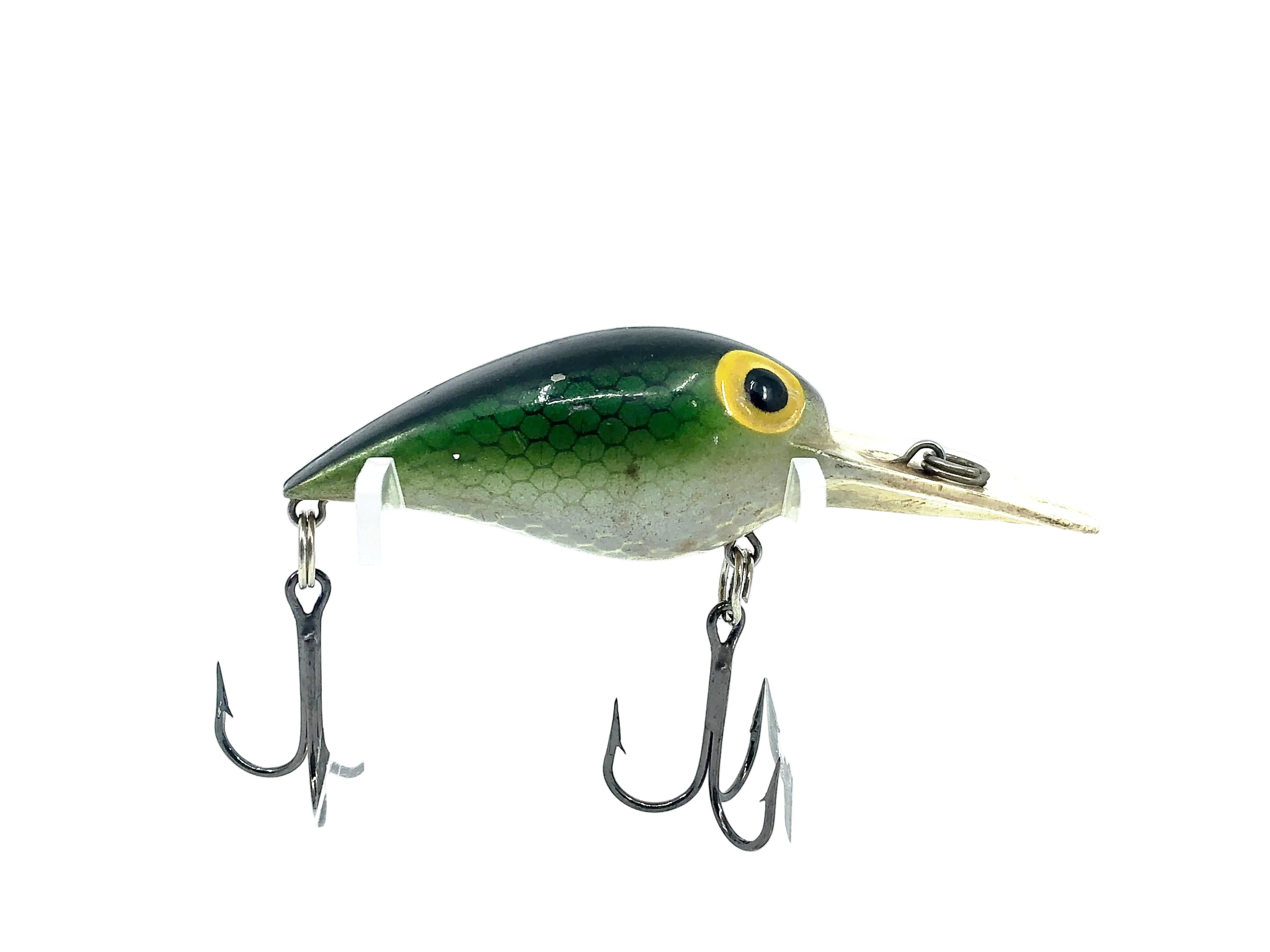 Storm Wiggle Wart V6 Green Scale Color – My Bait Shop, LLC