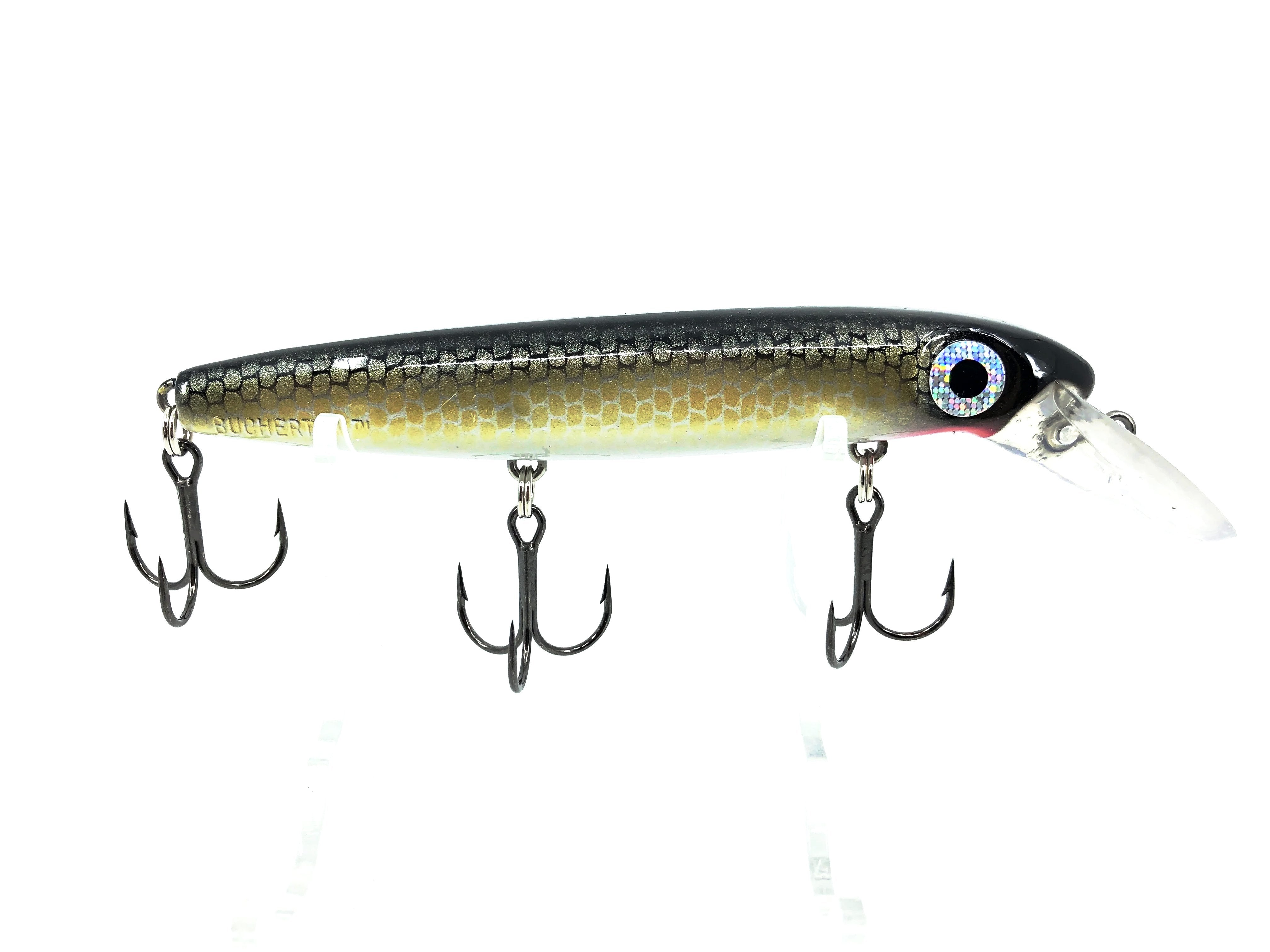 Joe Bucher Tackle Co. Buchertail Depth Raider 6", Sucker Color New on ...