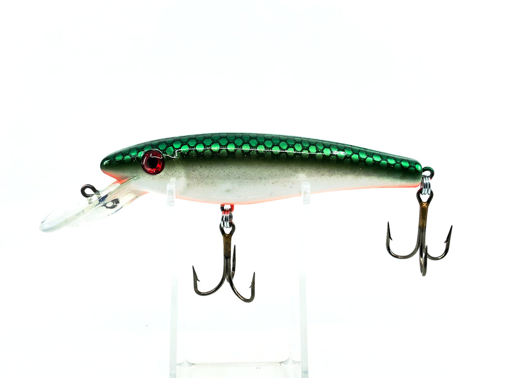 Musky Mania Lil Ernie, Tennessee Shad Color – My Bait Shop, LLC