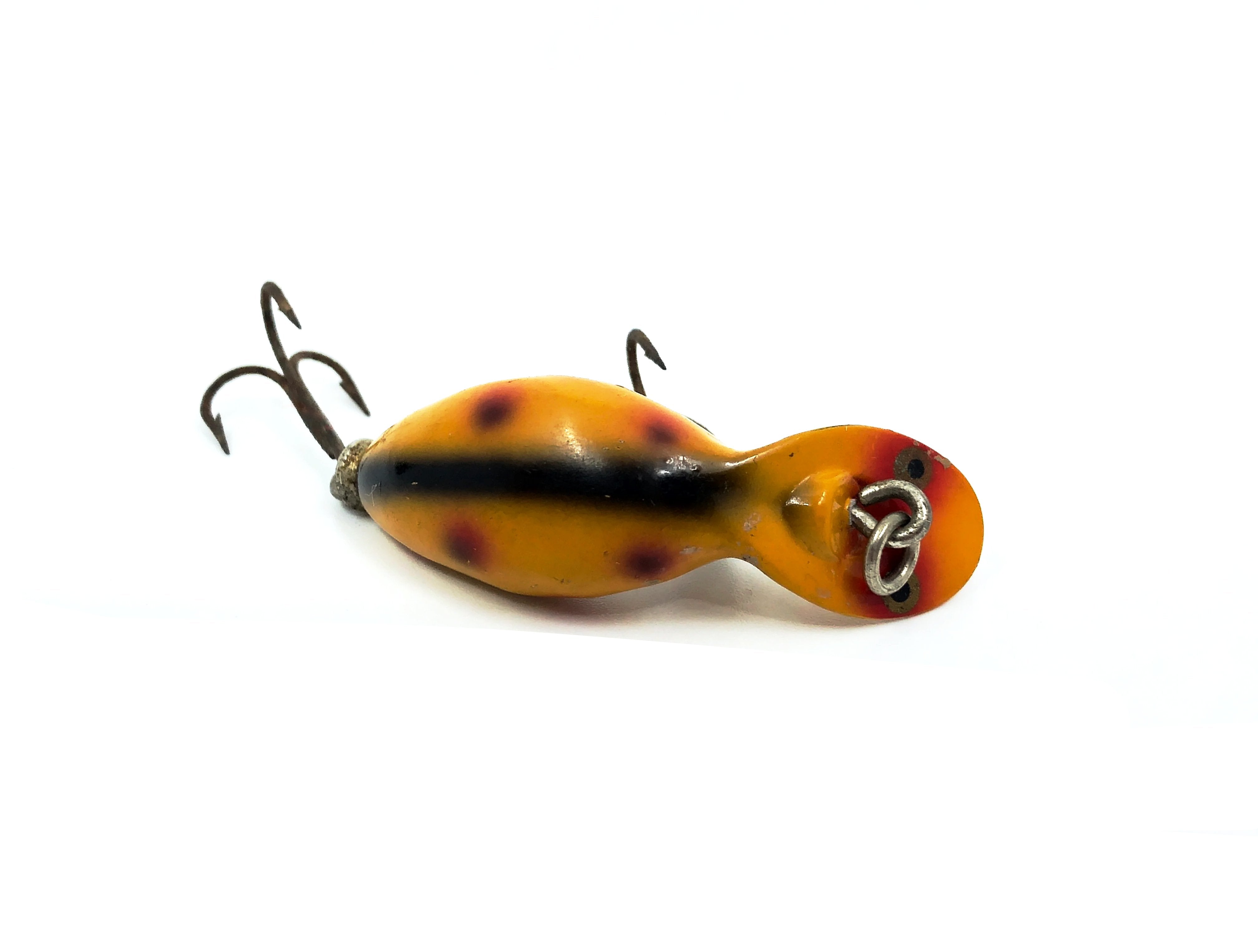 Heddon Tadpolly Tiny Tad, SO Spotted Orange Color – My Bait Shop, LLC