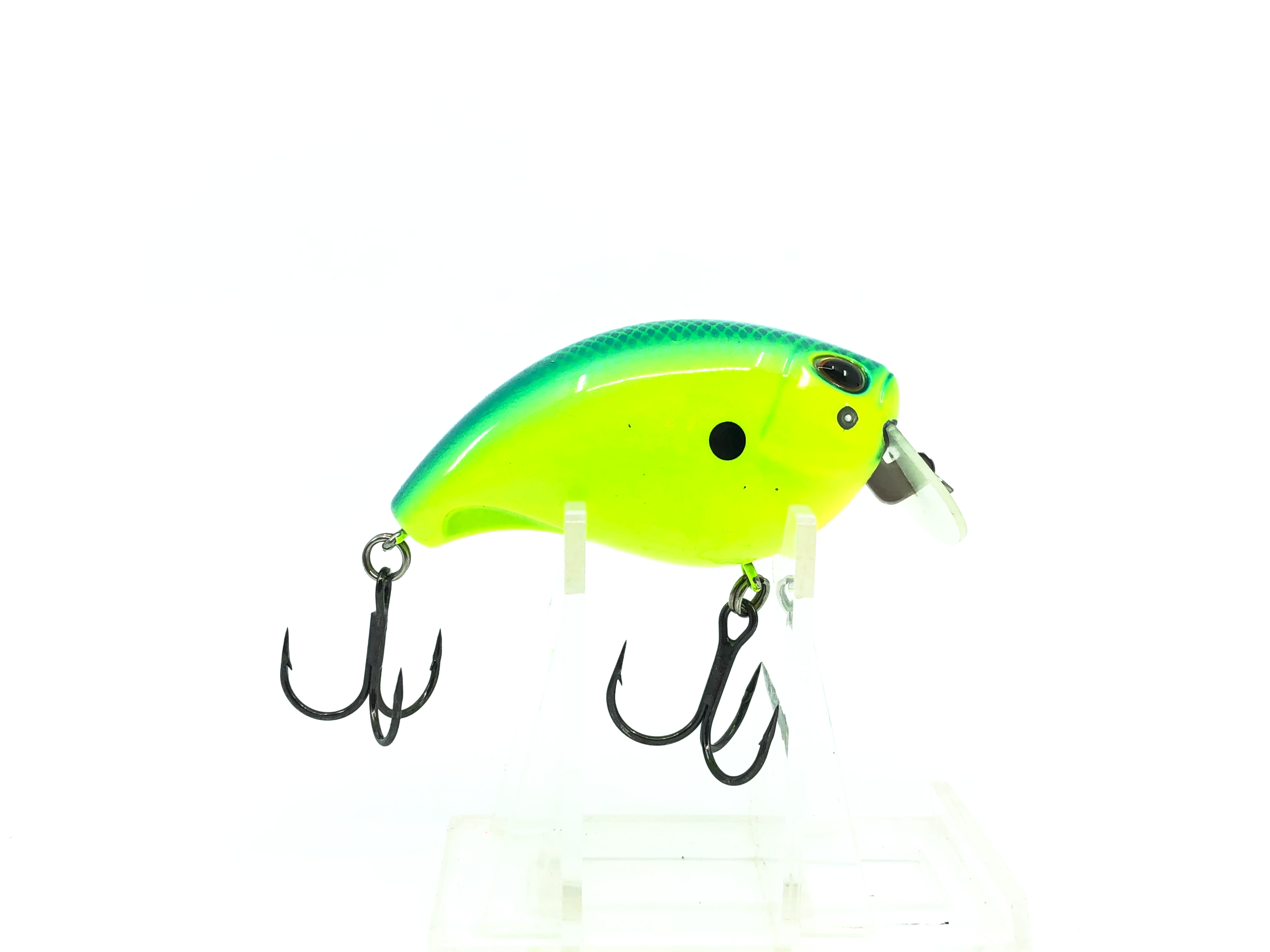 Storm Arashi Wake Crank, Parrot Color – My Bait Shop, LLC