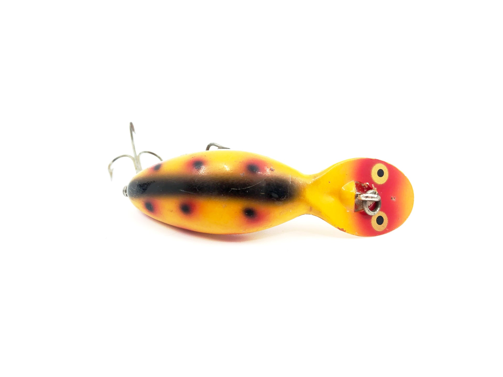 Bill Norman DD22 Rainbow Trout Color – My Bait Shop, LLC