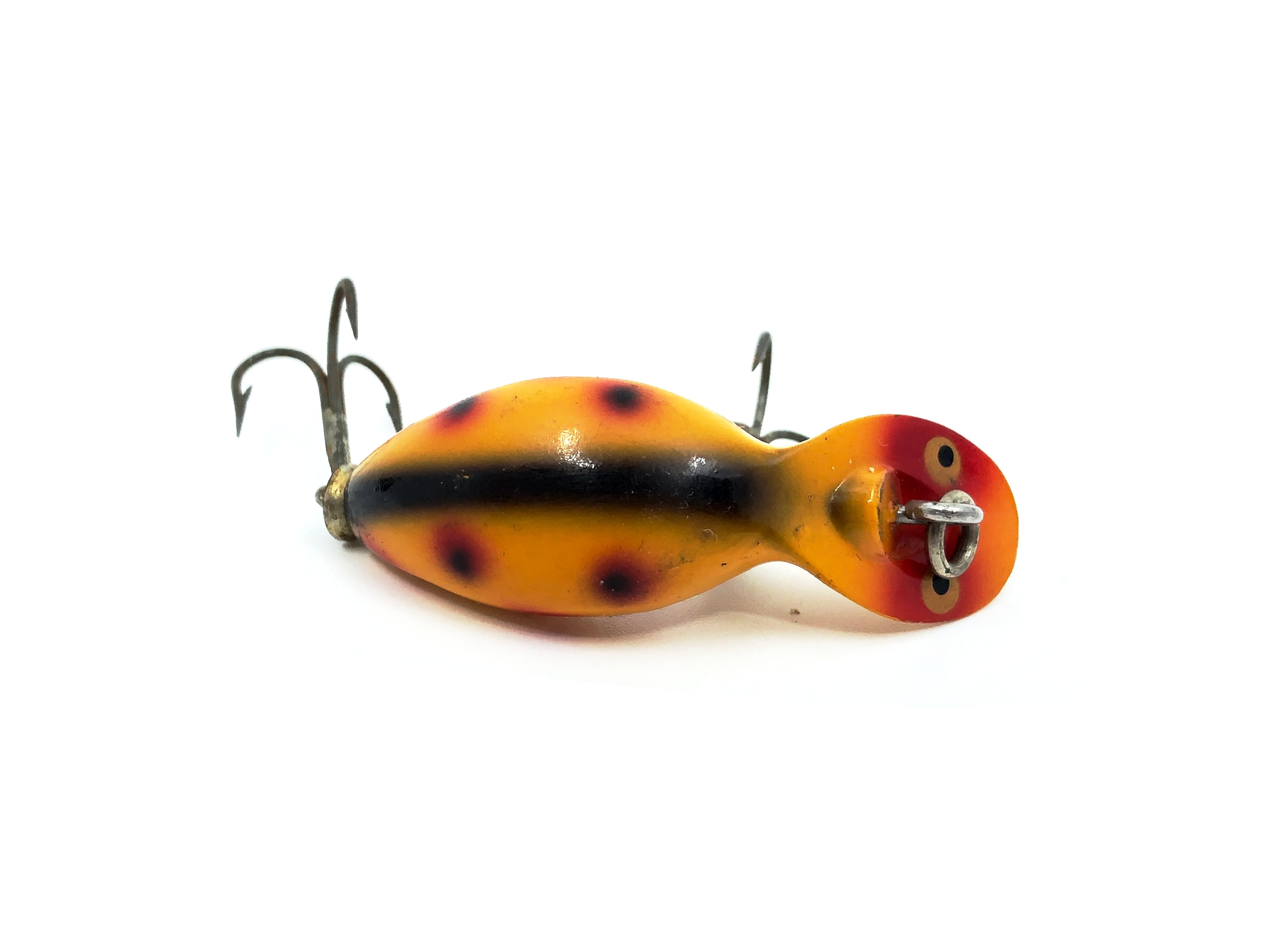 Heddon Tadpolly Tiny Tad, SO Spotted Orange Color – My Bait Shop, LLC
