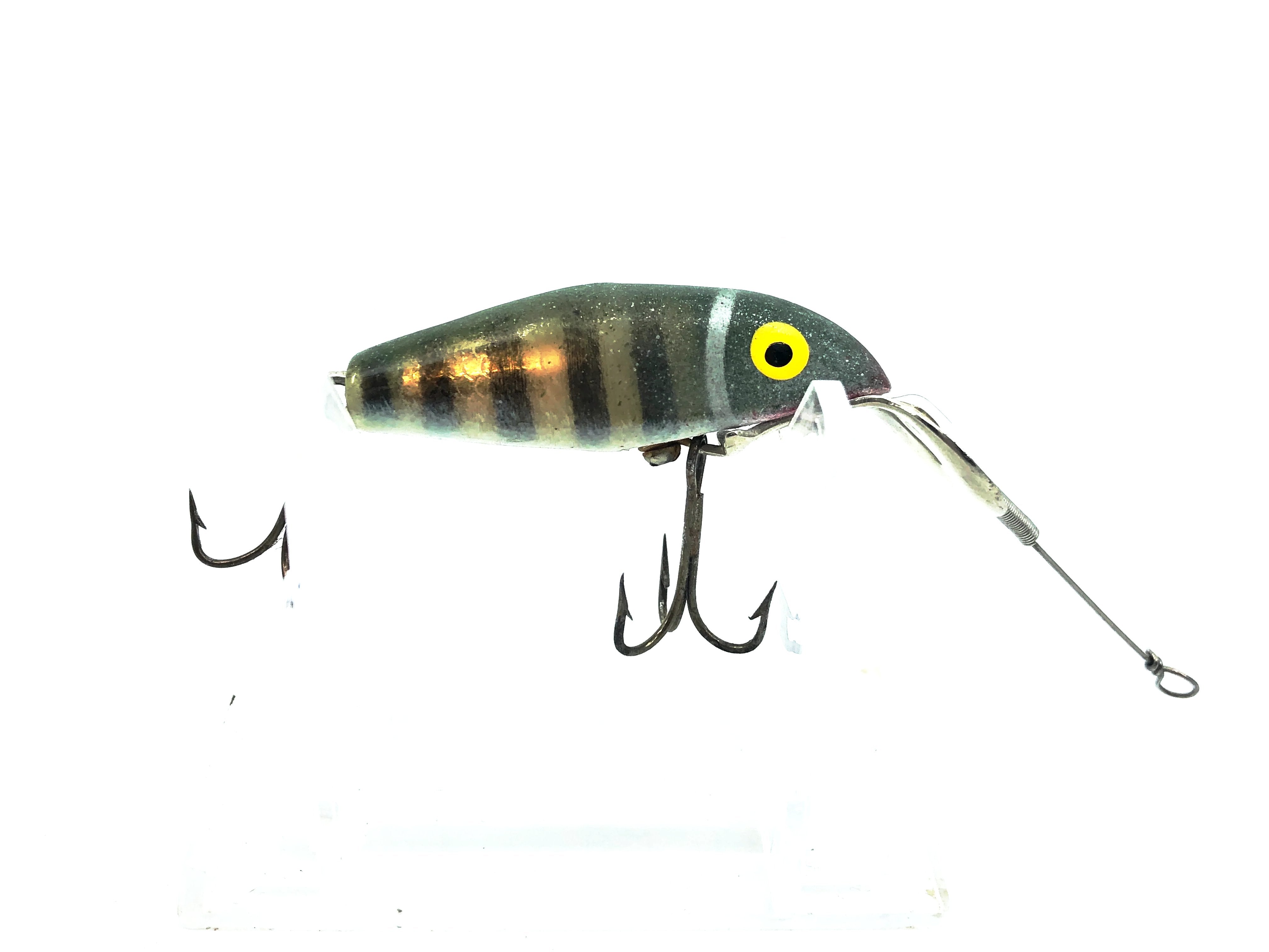Cisco Kid Baby Cisco, Pikie Color – My Bait Shop, LLC