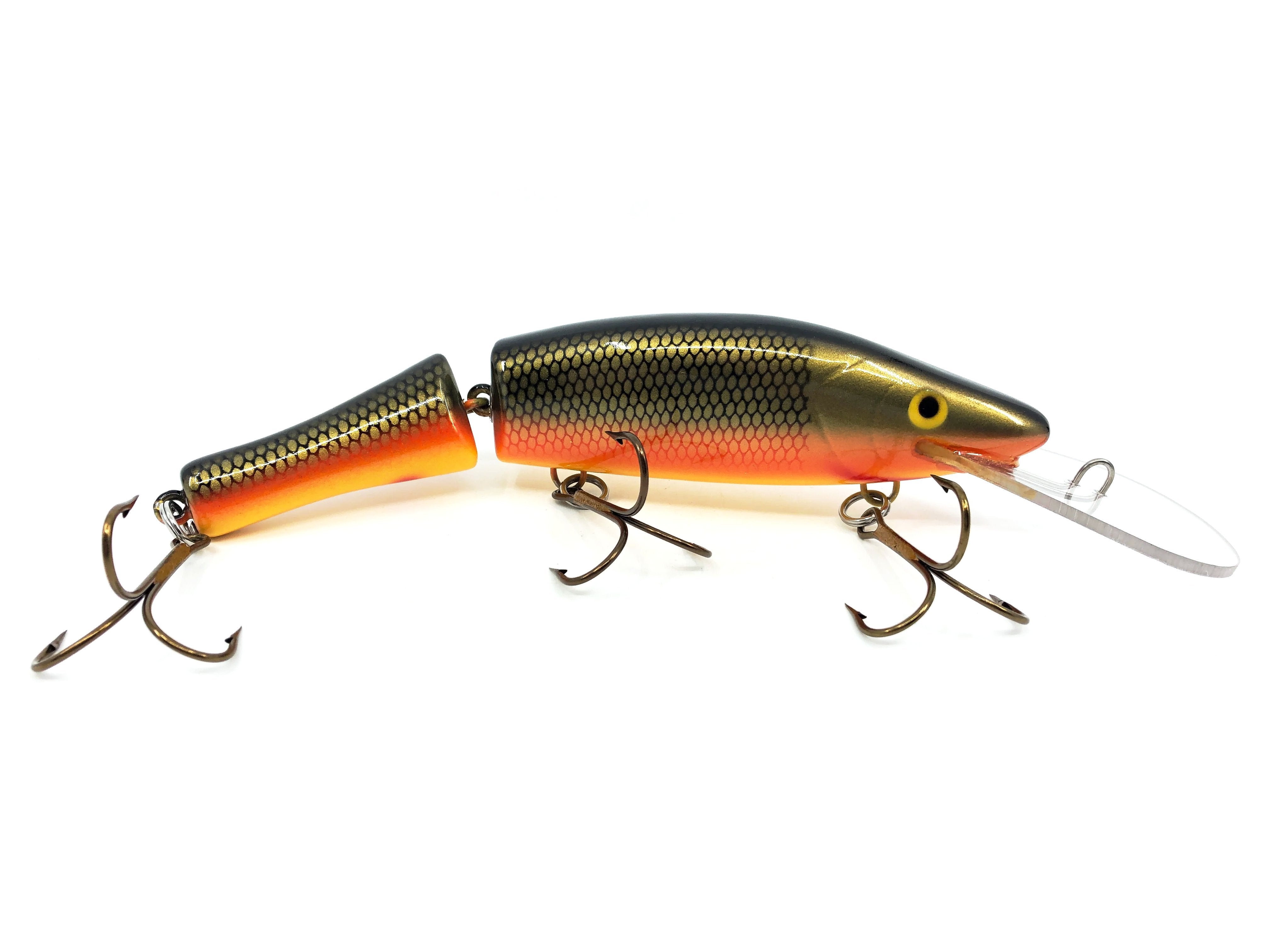 Legend Lures Jointed Perch Bait 10", Carp Color – My Bait Shop, LLC