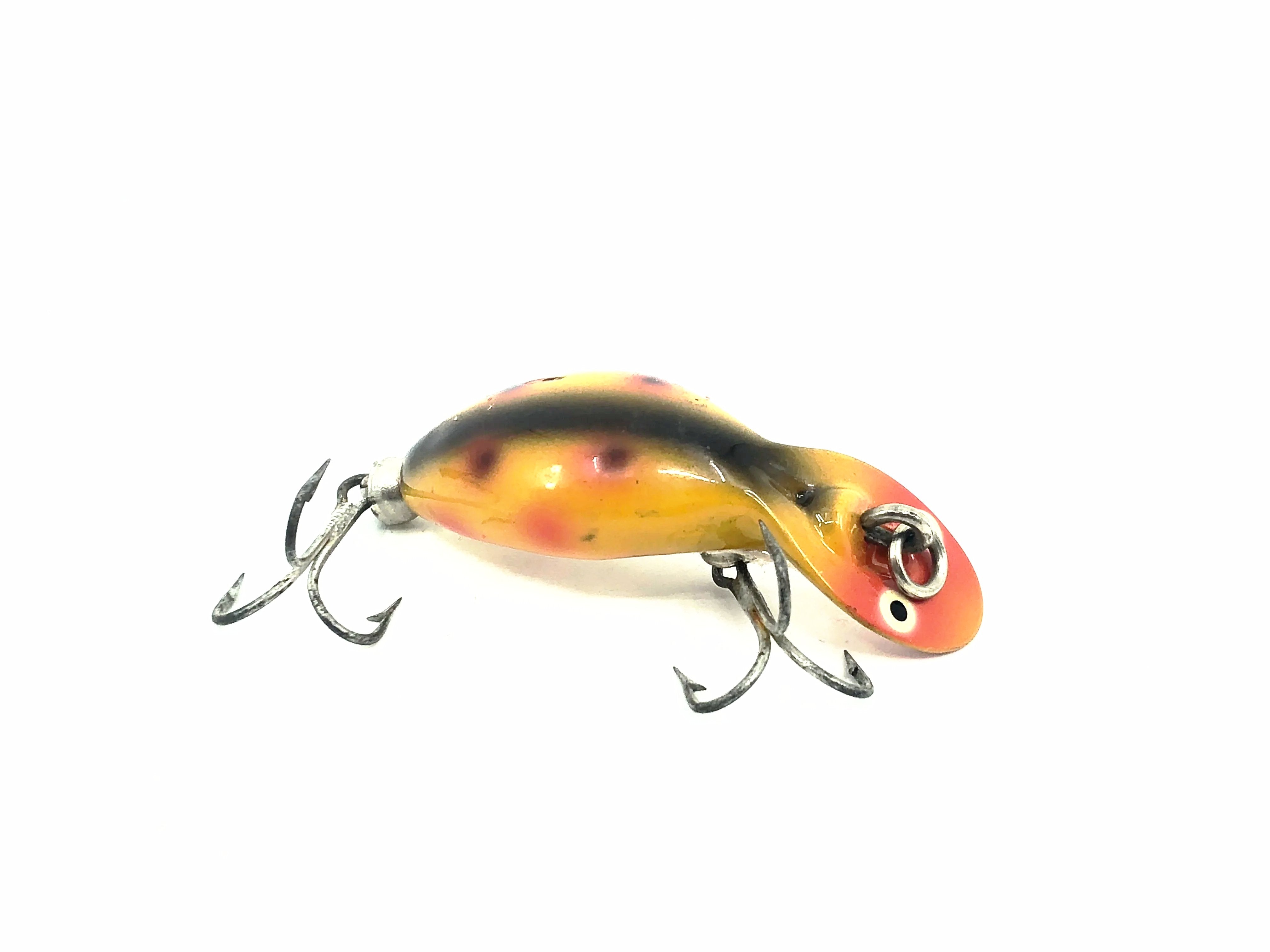 Heddon Tadpolly Tiny Tad, SO Spotted Orange Color - White Eyes! – My ...