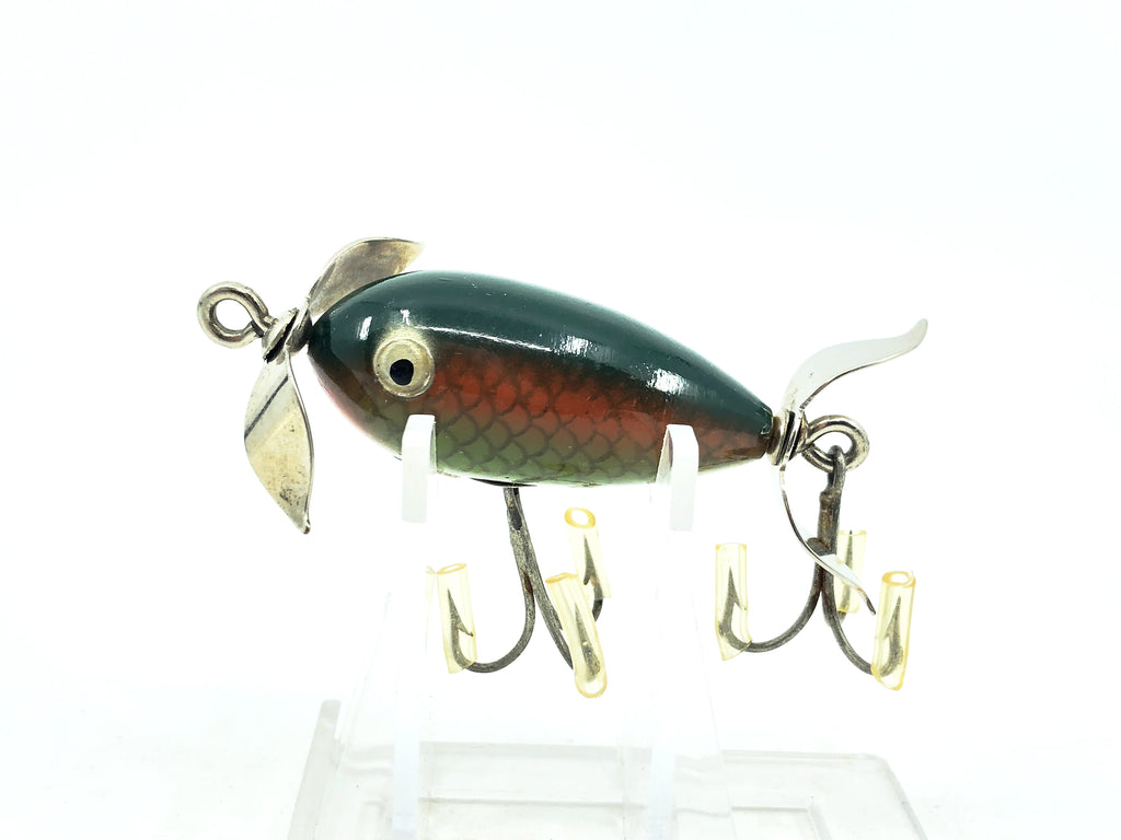 Shakespeare Midget Spinner, Black Back/Red/Green Scale Color – My Bait ...