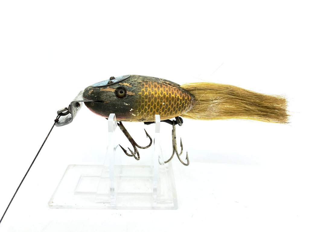 Creek Chub 5600 Dinger, Golden Shiner Color 5604 – My Bait Shop, LLC