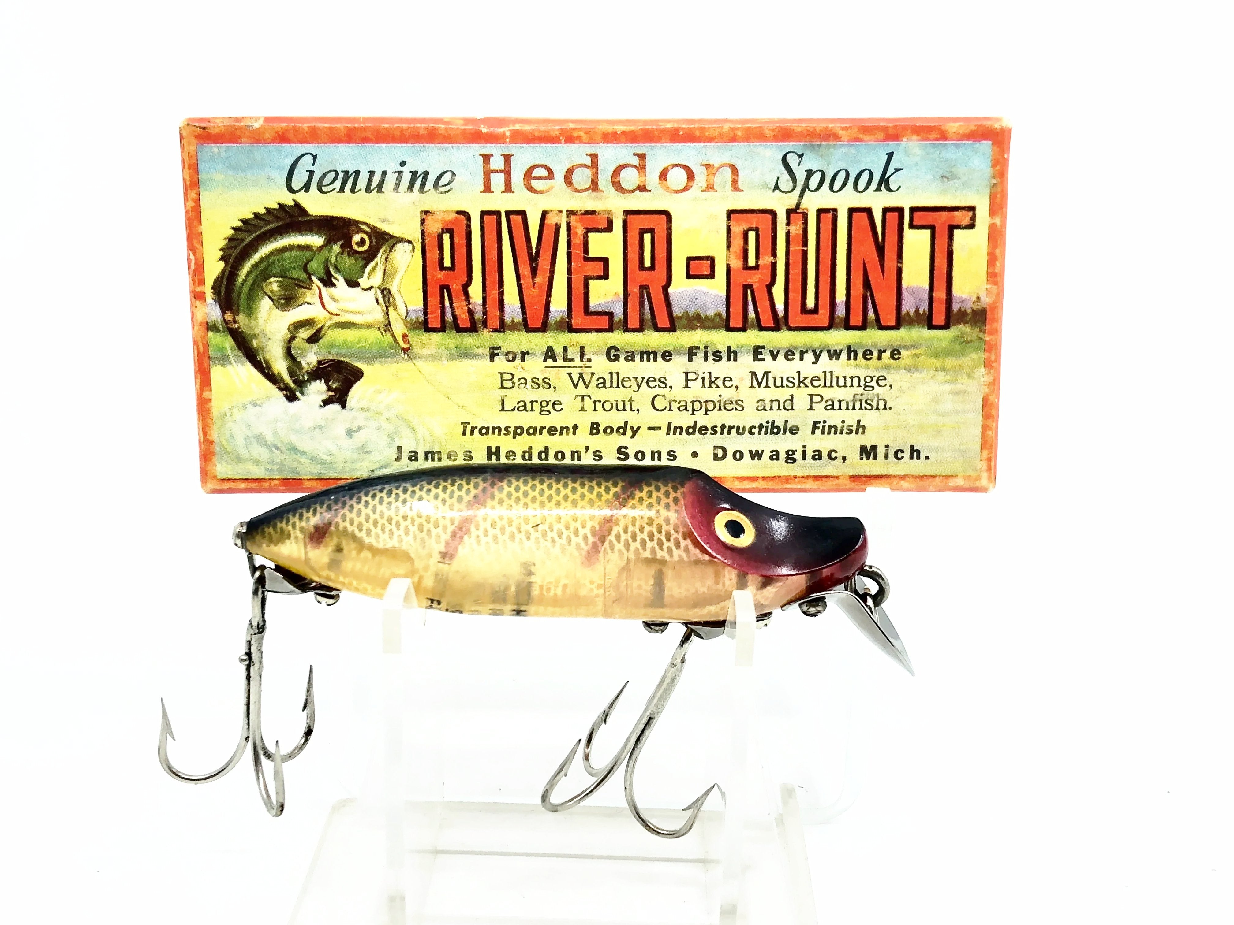Heddon River Runt Spook Floater 9400-L Perch Color with Box – My Bait ...