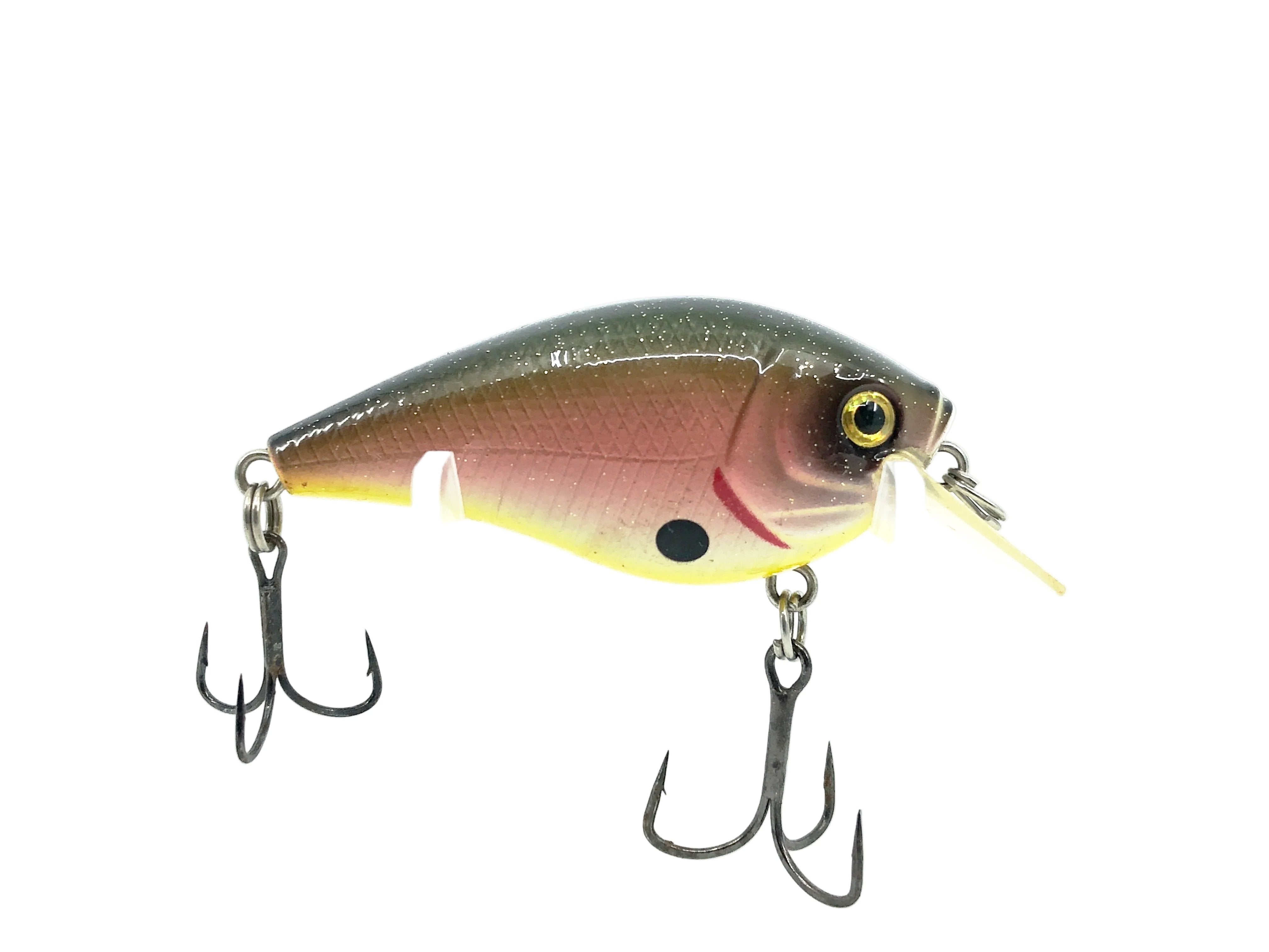 H2O Xpress CRS Crankbait, Shad Color – My Bait Shop, LLC