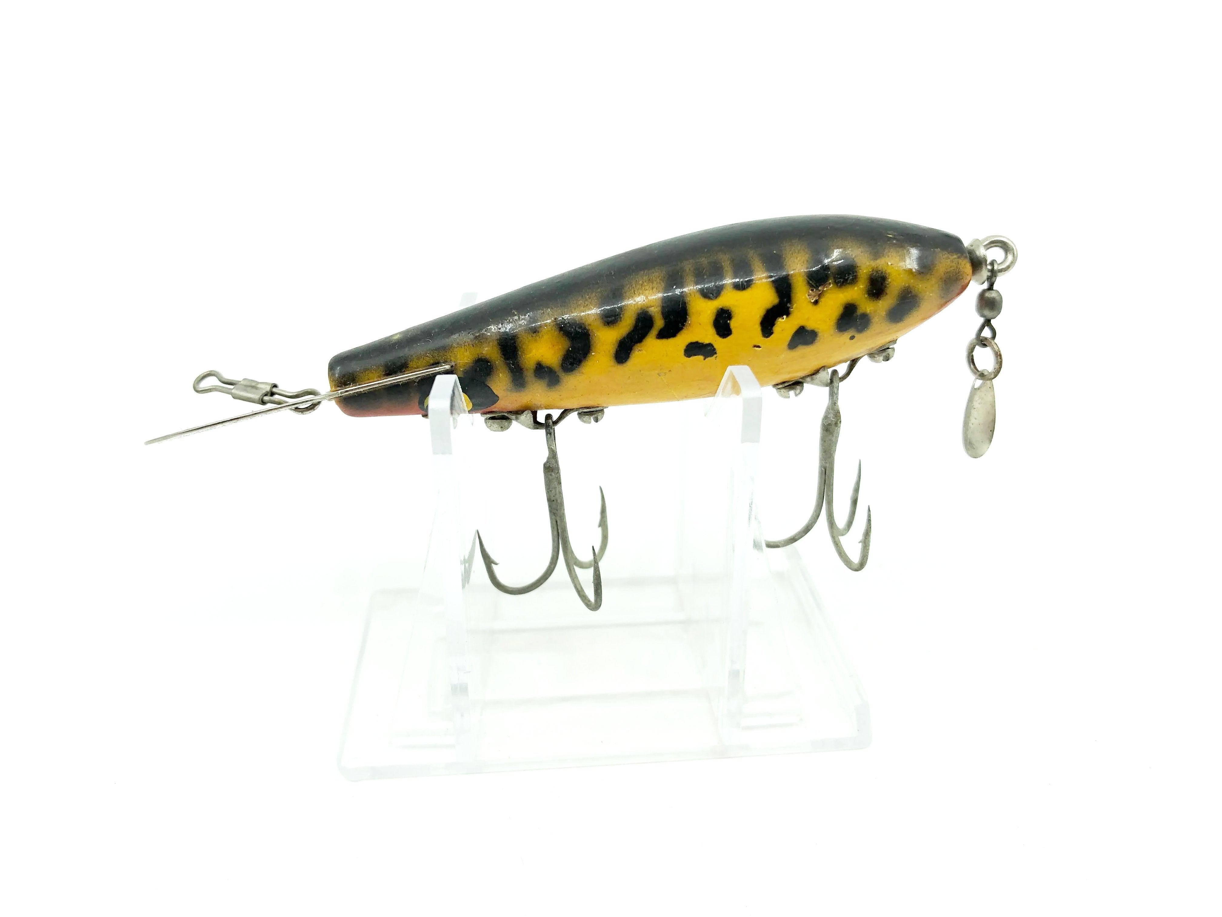 Smithwick Rooter in Yellow Coach Dog Color – My Bait Shop, LLC