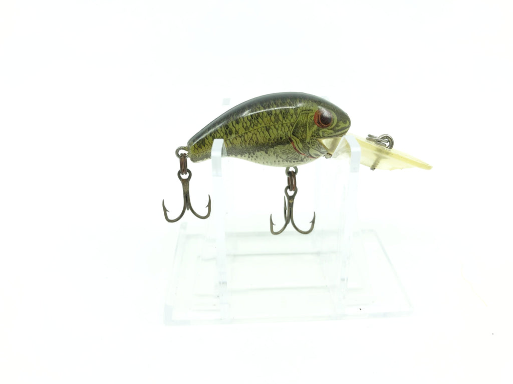 Rebel Deep Teeny-R Naturalized Baby Bass Color – My Bait Shop, LLC