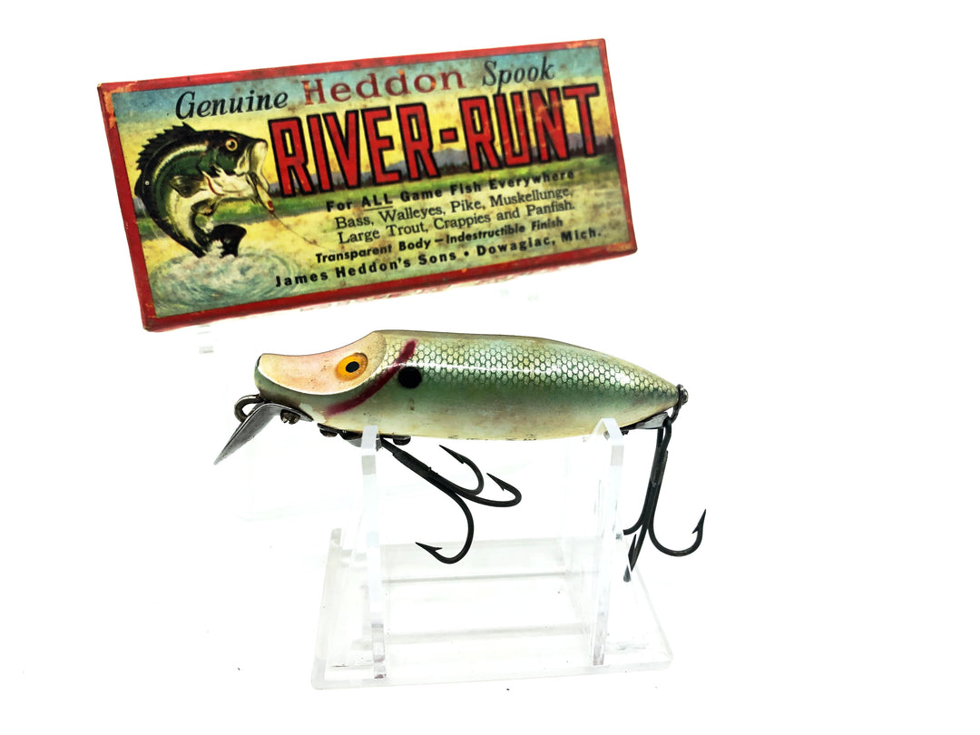 Heddon River Runt Spook Floater 9400-SD, Shad Color with Box – My Bait ...