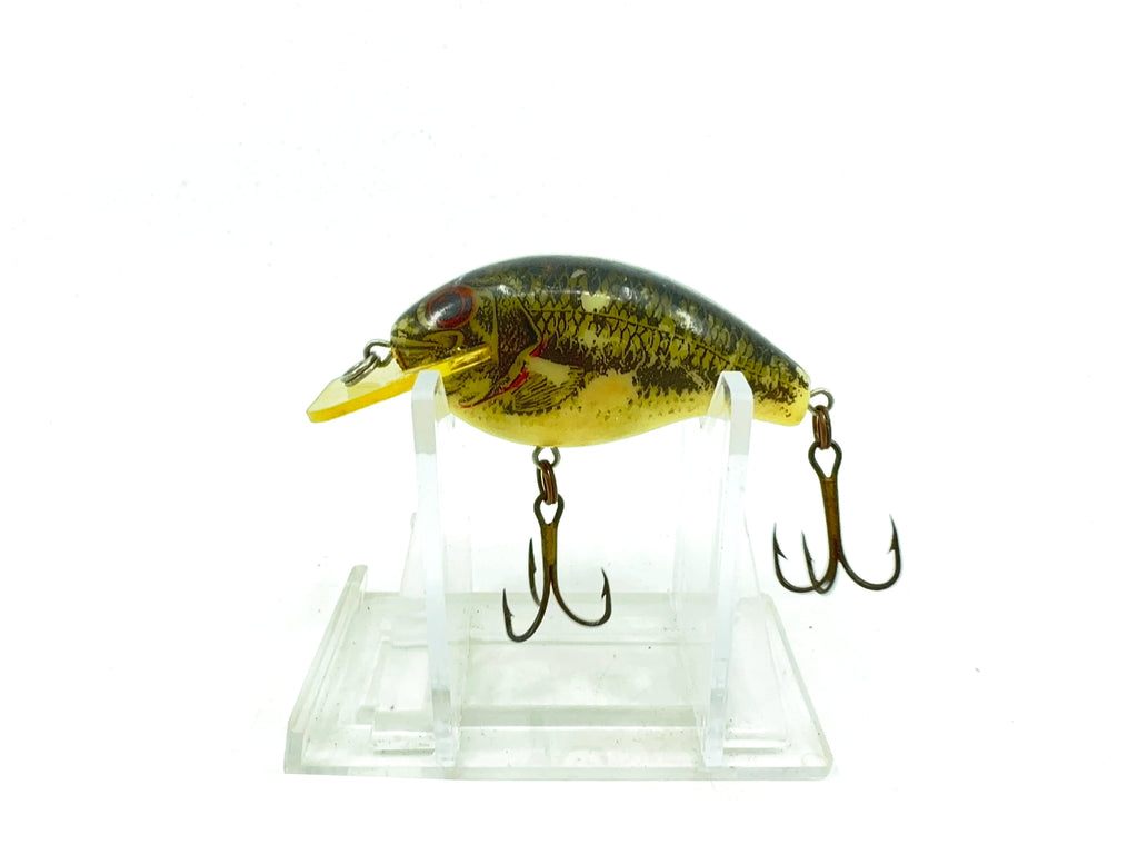 Rebel Wee R, Naturalized Baby Bass Color – My Bait Shop, LLC