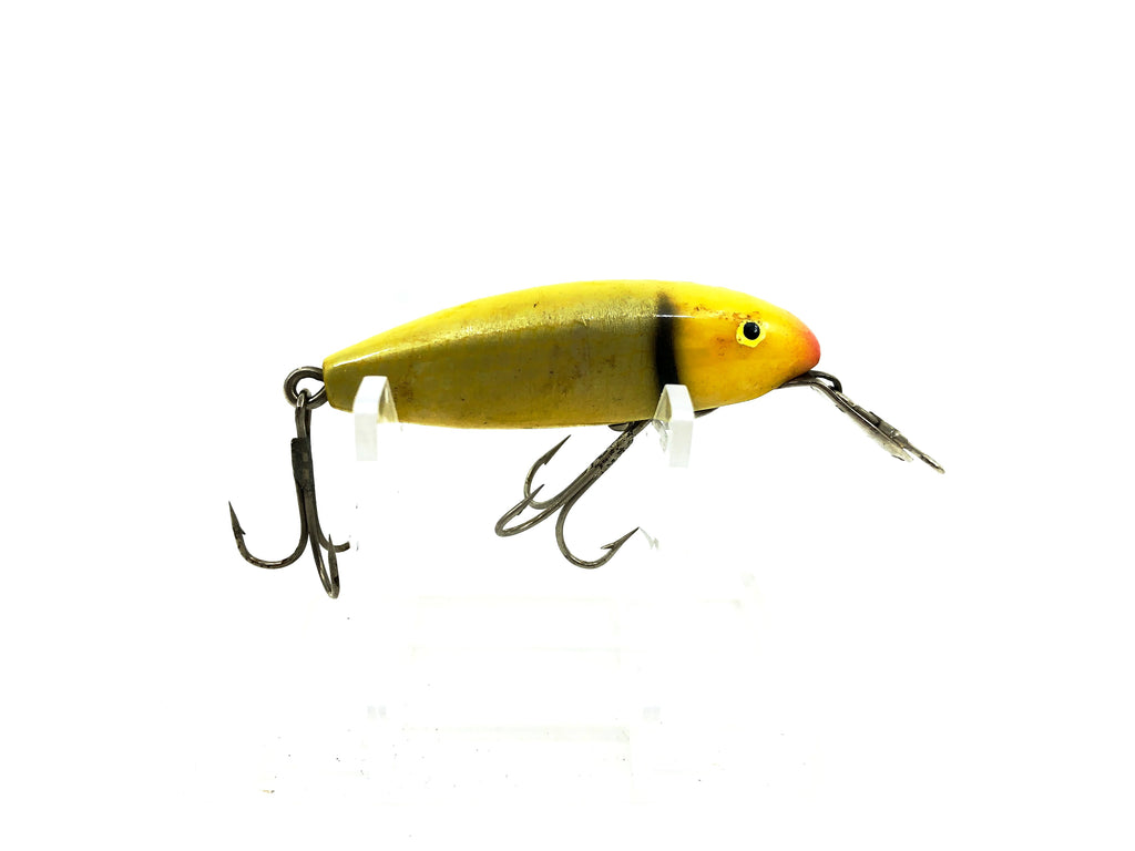 Cisco Kid Baby Cisco, Yellow Shiner Color – My Bait Shop, LLC
