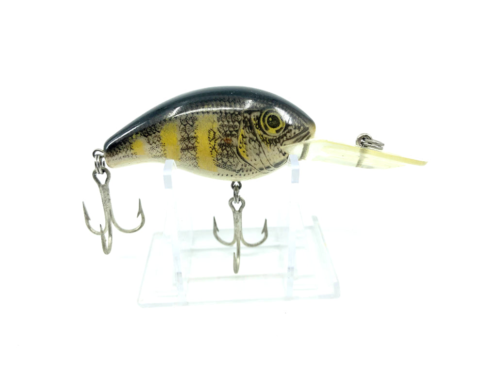 Rebel Deep Mini R in Naturalized Perch Color – My Bait Shop, LLC
