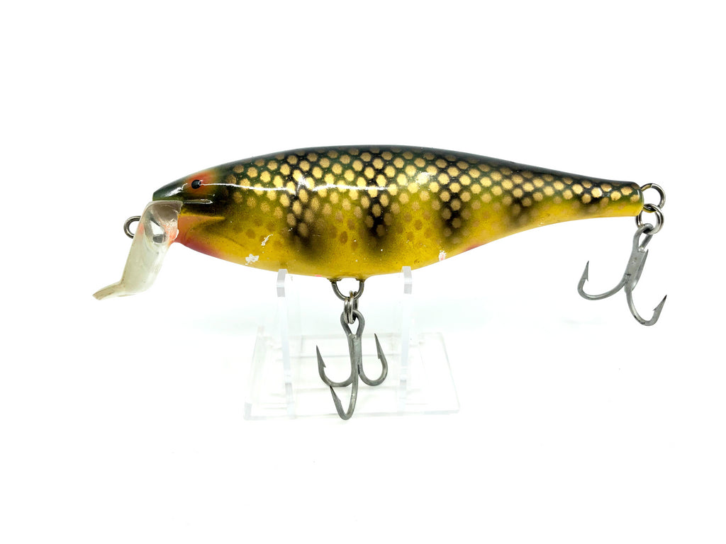 Rapala Super Shad Rap Custom Perch Color – My Bait Shop, LLC