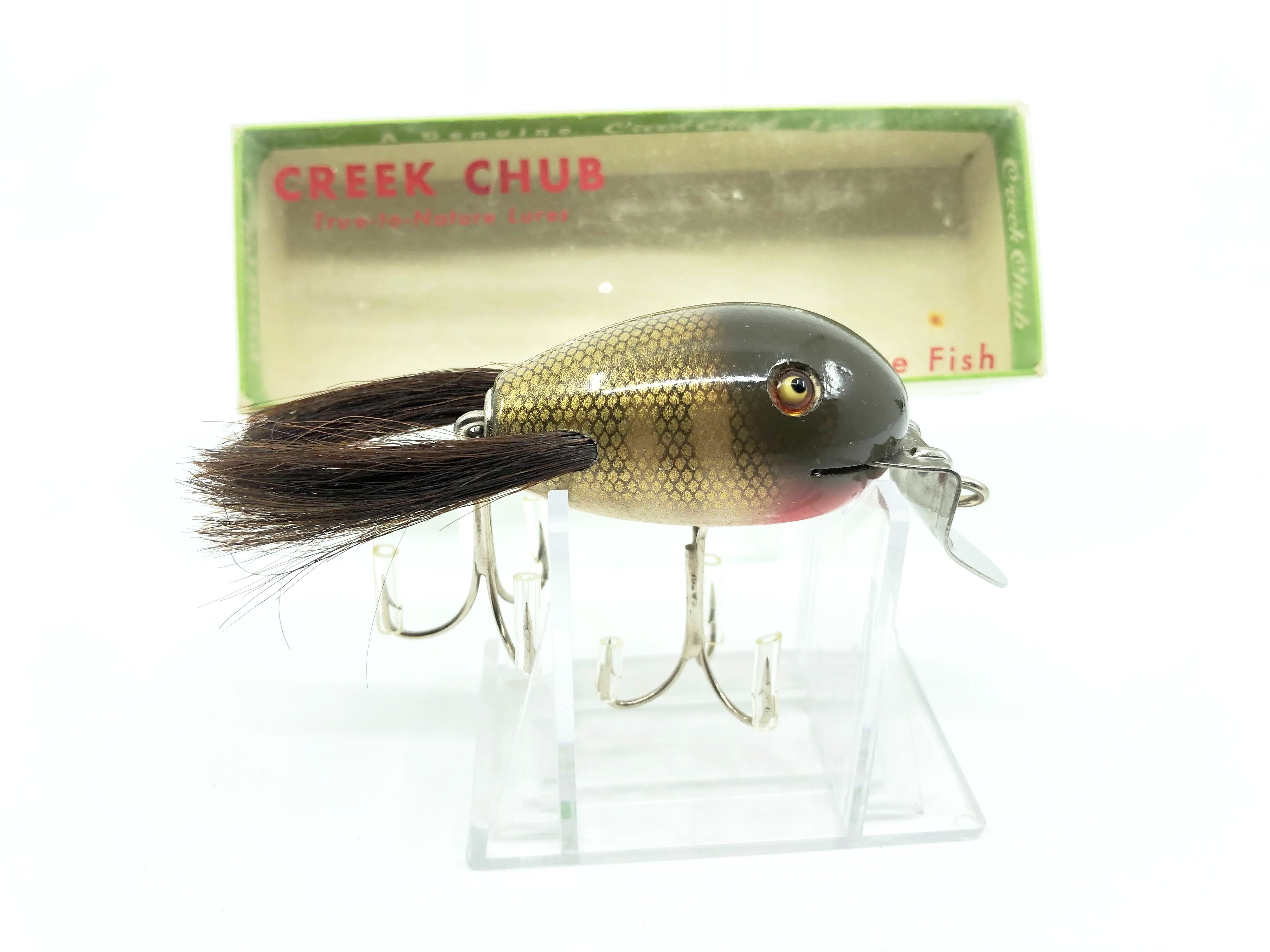 Creek Chub Dingbat 5100 in Pikie Color with Box – My Bait Shop, LLC