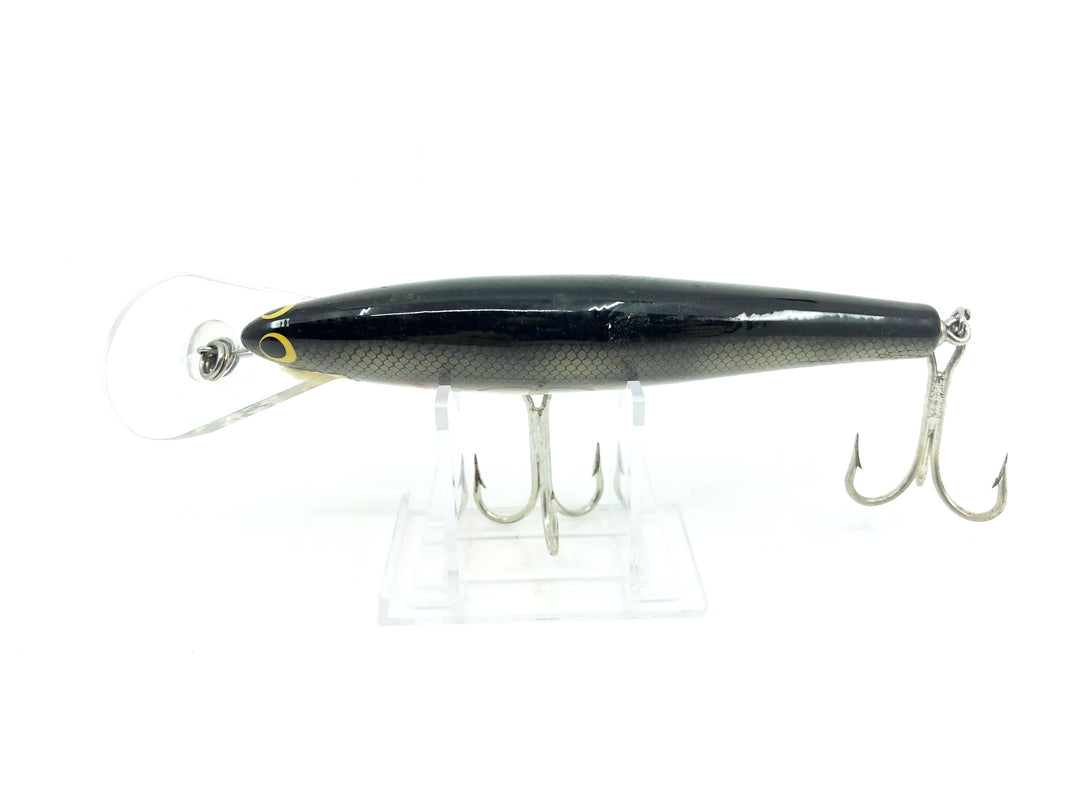 Bagley DB06, TS Tennessee Shad Color - Vintage – My Bait Shop, LLC