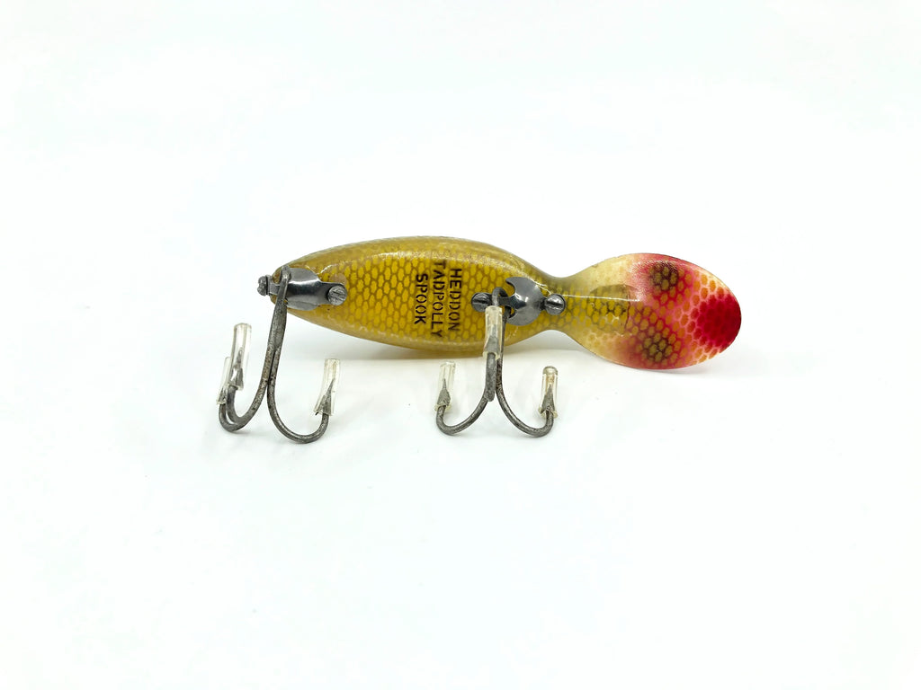 Heddon Tadpolly Spook L Perch Color – My Bait Shop, LLC
