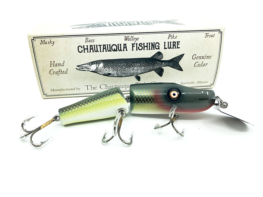 Chautauqua Jointed Creek Chub Lure in Creek Chub Color – My Bait Shop, LLC