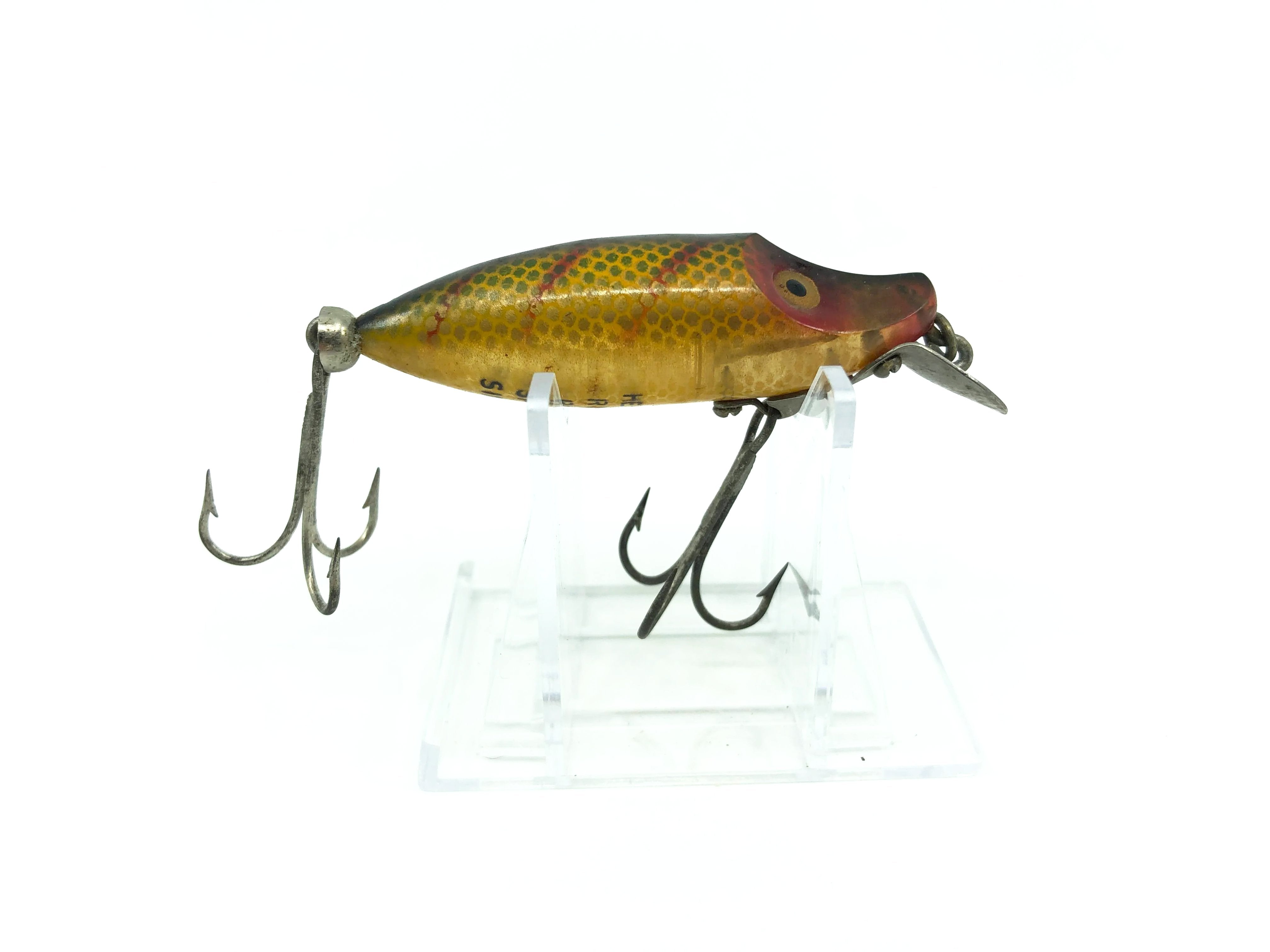 Heddon River Runt Spook Sinker Perch Color – My Bait Shop, LLC