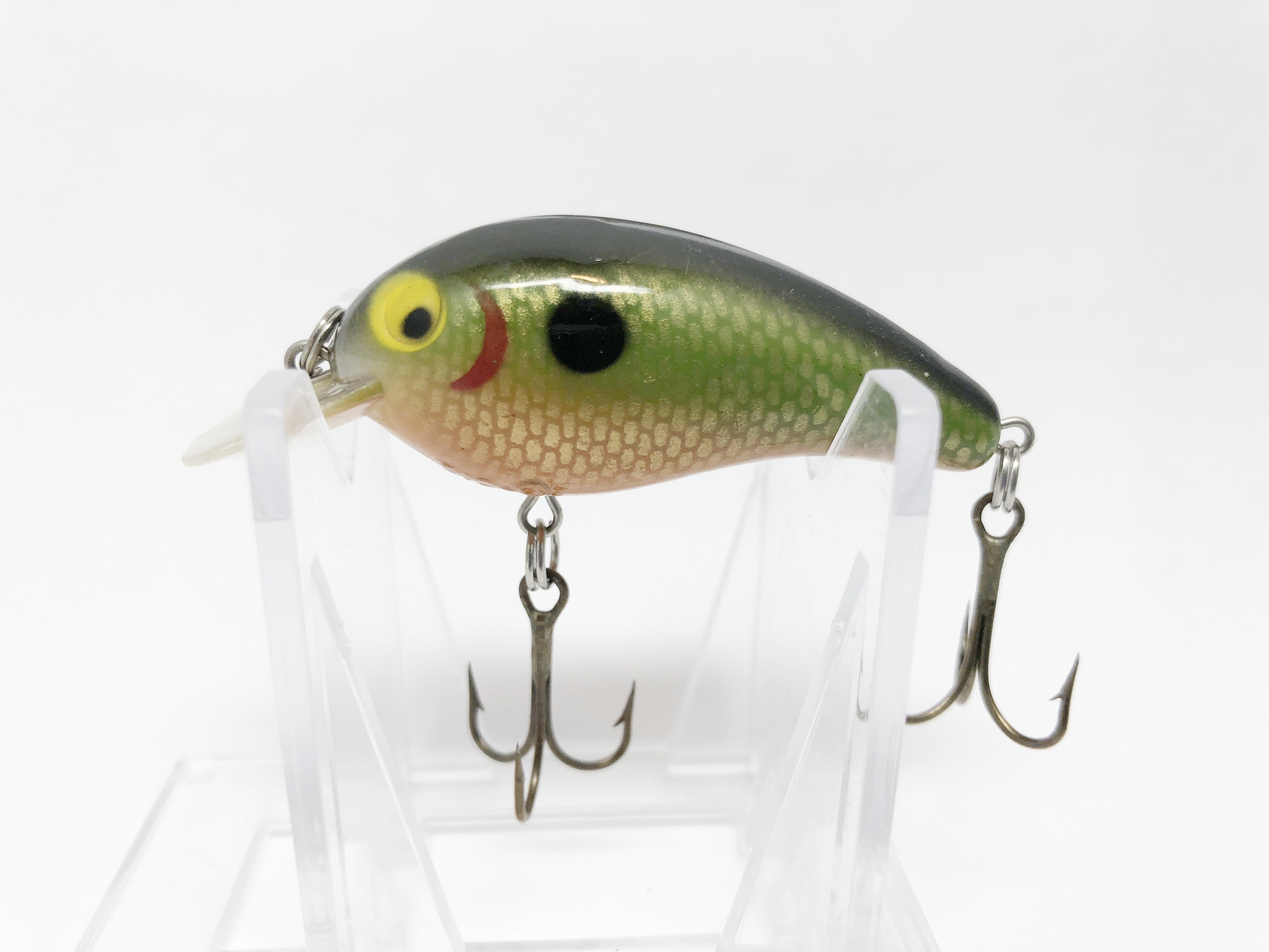 Cordell Big-O Sunfish Gold Scales – My Bait Shop, LLC