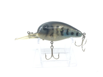 Rogers Deep Jim Lure Great Color – My Bait Shop, LLC
