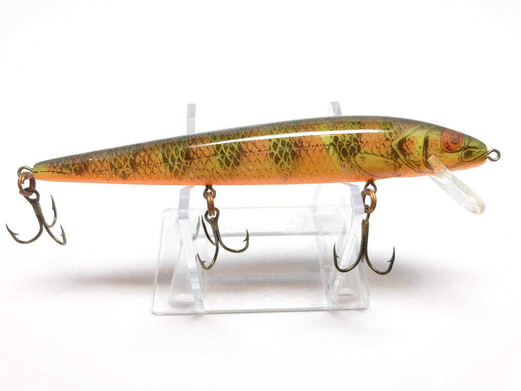 Rebel Minnow Naturalized Yellow Perch Color – My Bait Shop, LLC