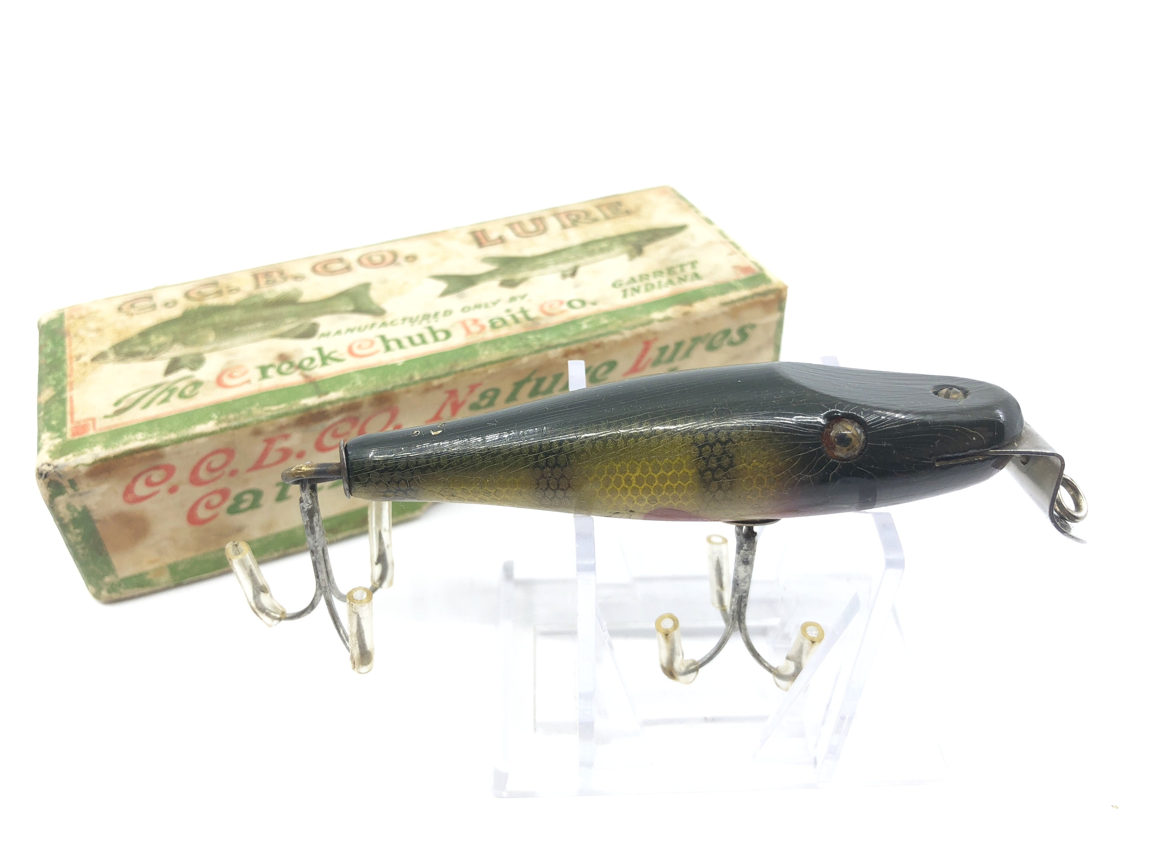 Creek Chub Baby Pikie Perch Color with Box 901 – My Bait Shop, LLC
