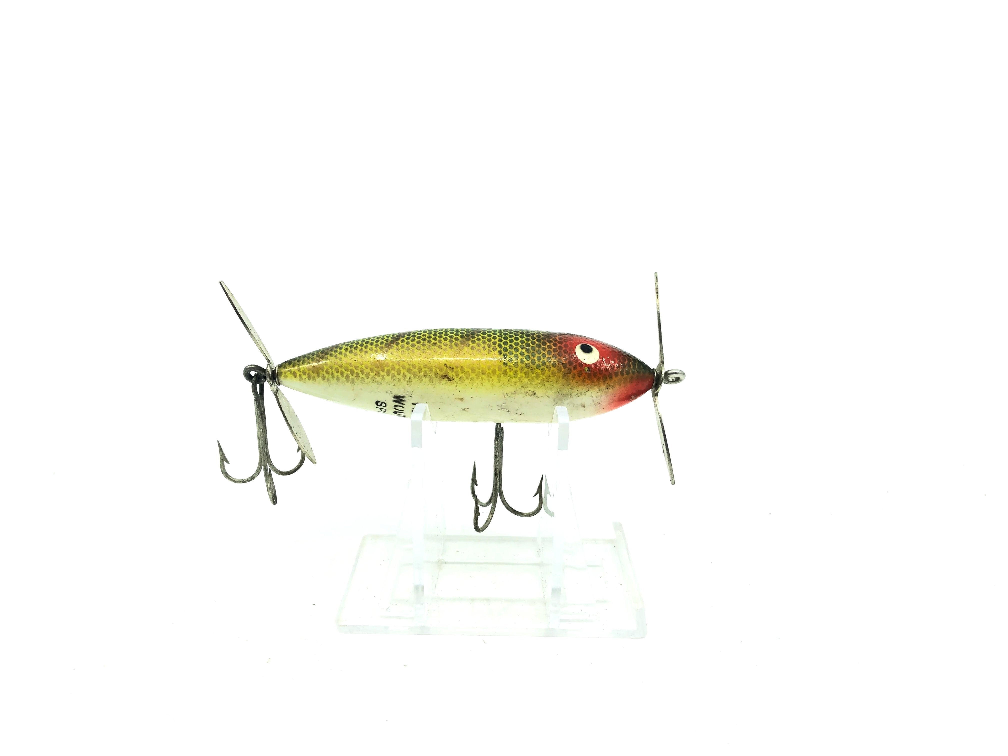 Heddon Wounded Spook L Perch Color – My Bait Shop, LLC