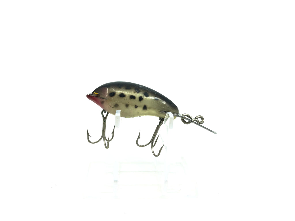 Arbogast Mud Bug, Coachdog Color – My Bait Shop, LLC