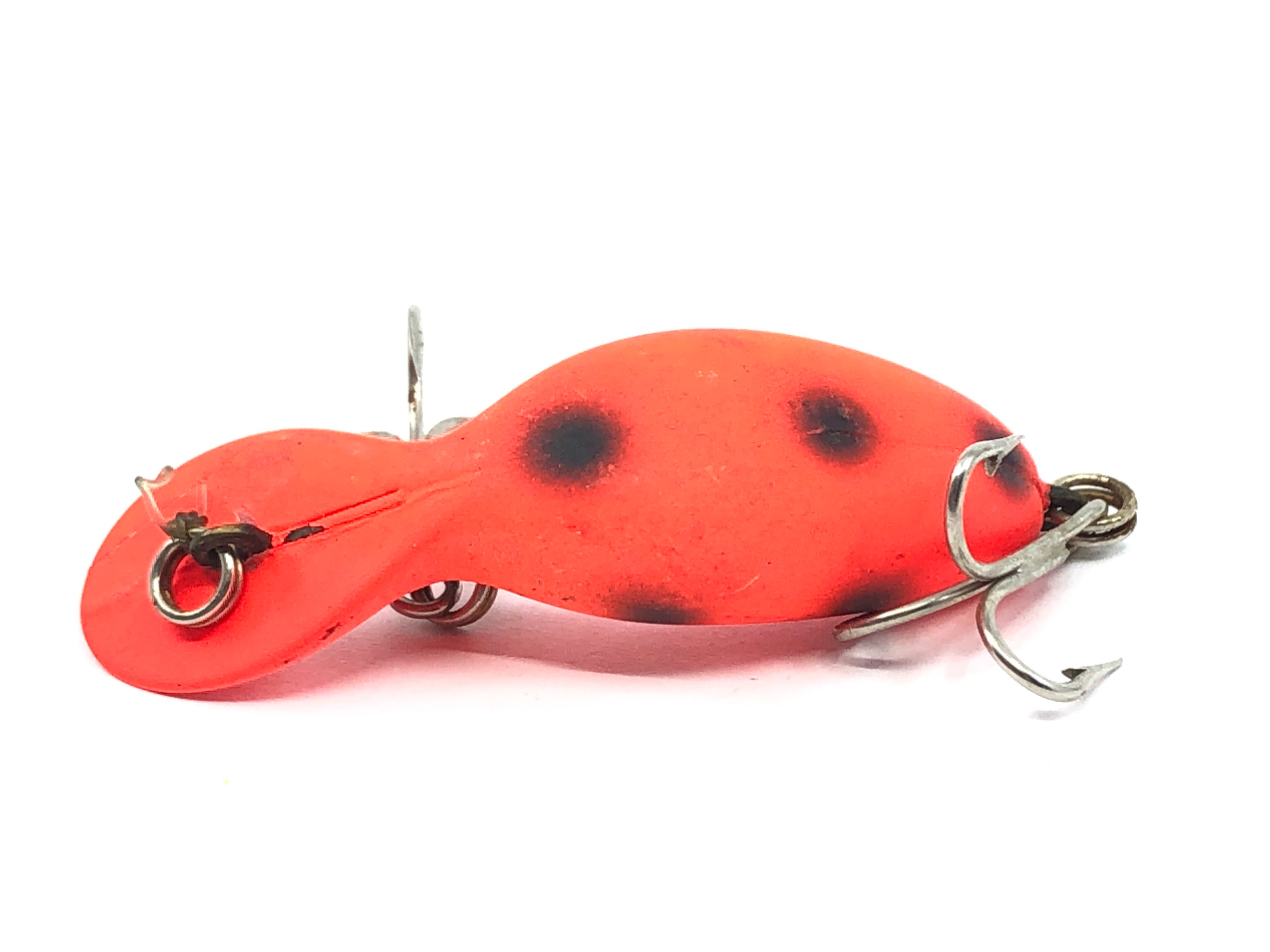 Heddon Tiny Tad Orange with Black Dots – My Bait Shop, LLC