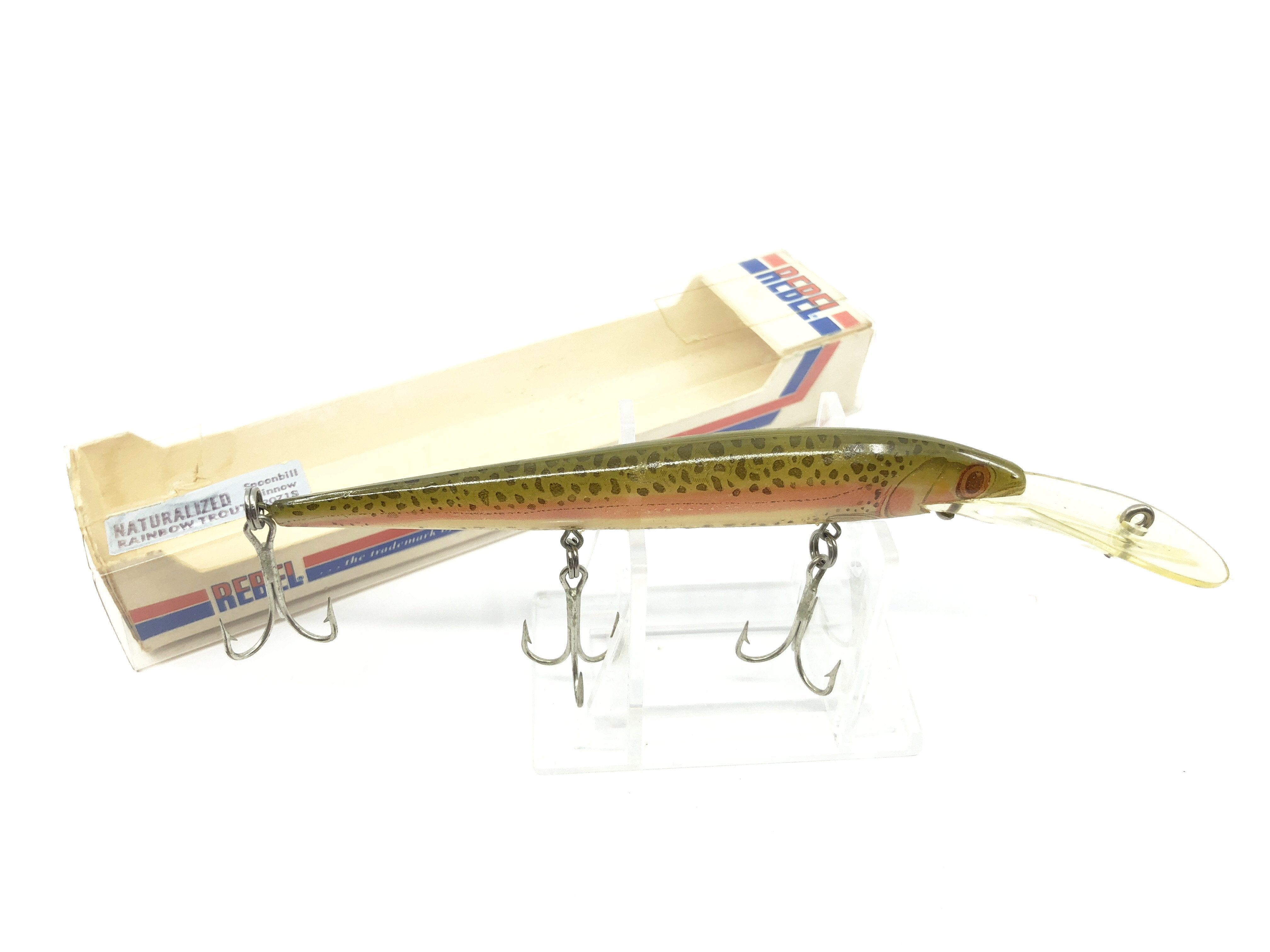 Rebel Spoonbill Minnow Naturalized Rainbow Trout Color with Box – My ...