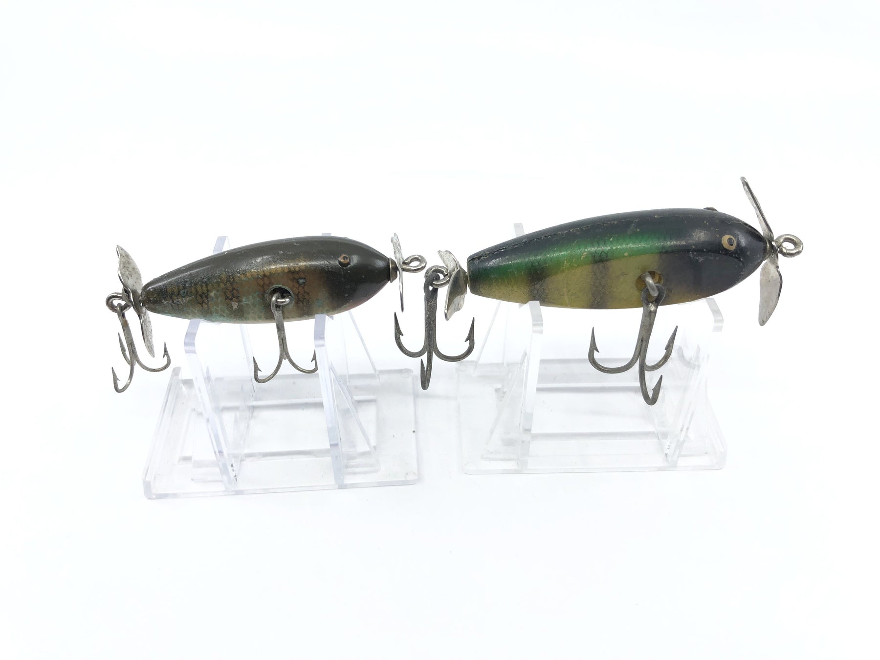 Two Creek Chub Injured Minnows – My Bait Shop, LLC