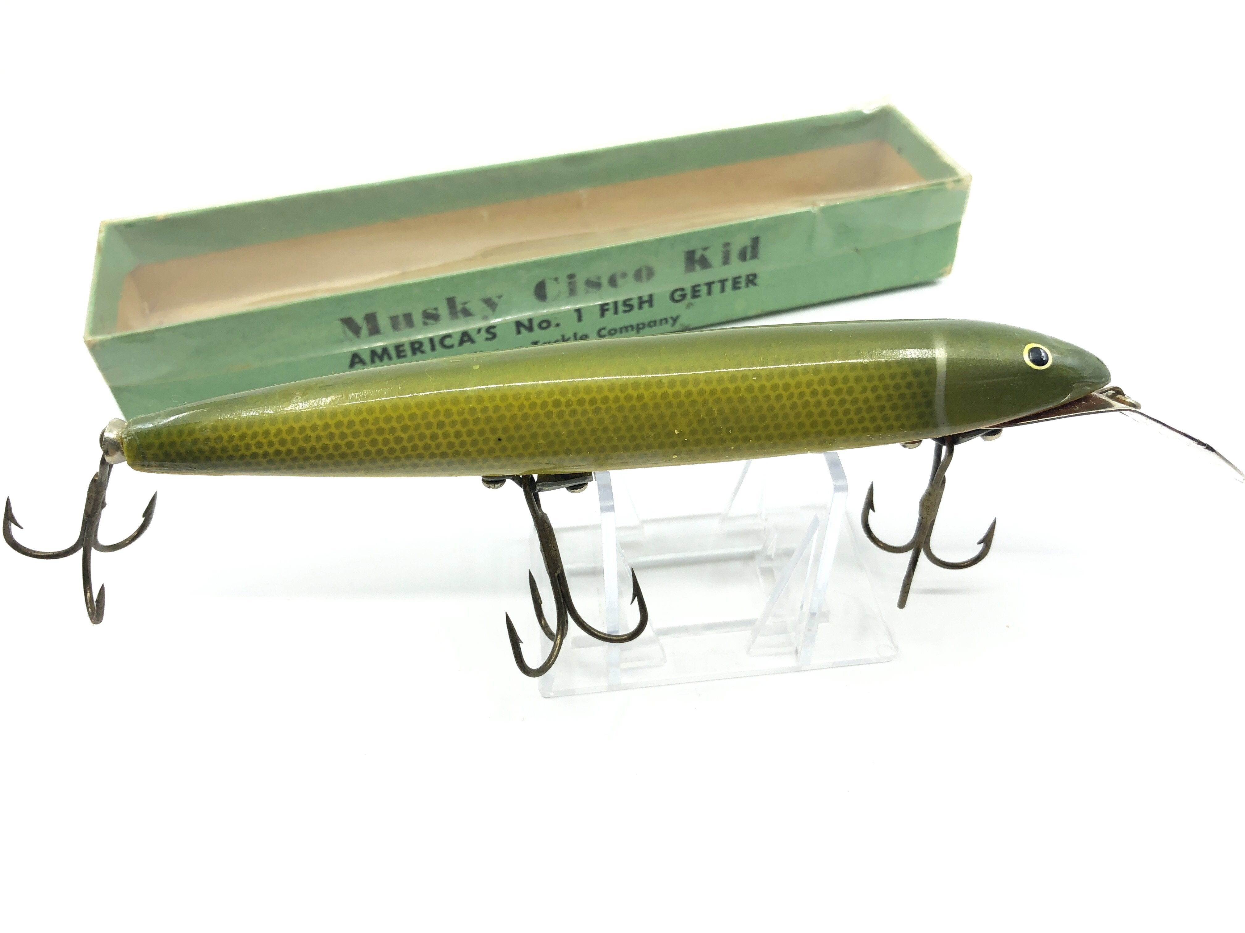 Walsten Musky Cisco Kid with Box 602 Pike Color – My Bait Shop, LLC