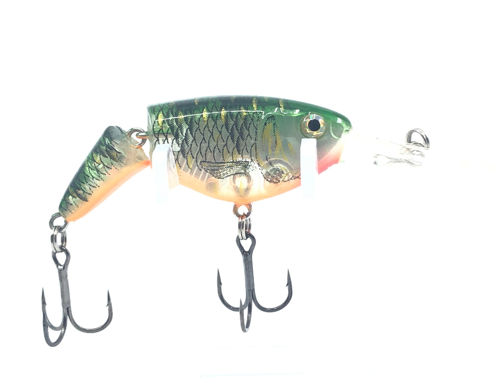 Jointed Rap Shad Glass Perch – My Bait Shop, LLC