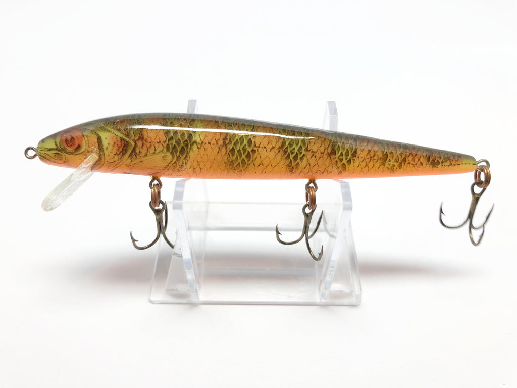 Rebel Minnow Naturalized Yellow Perch Color – My Bait Shop, LLC