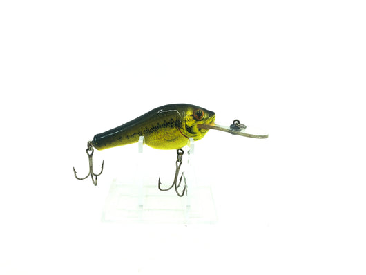 Bagley Small Fry Baby Bass on Chartreuse Color – My Bait Shop, LLC