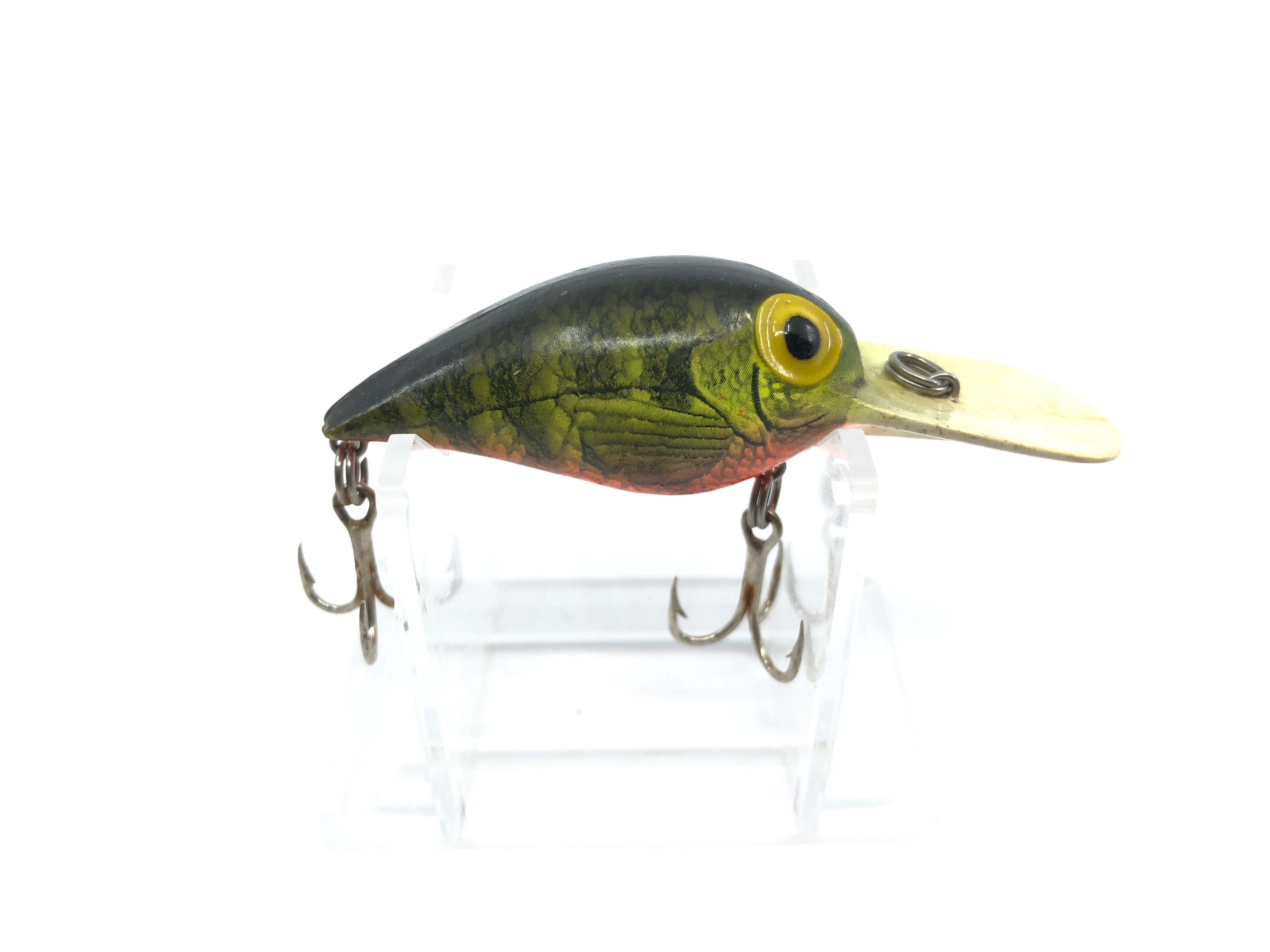 Storm Wiggle Wart V60 Naturalistic Perch Color – My Bait Shop, LLC